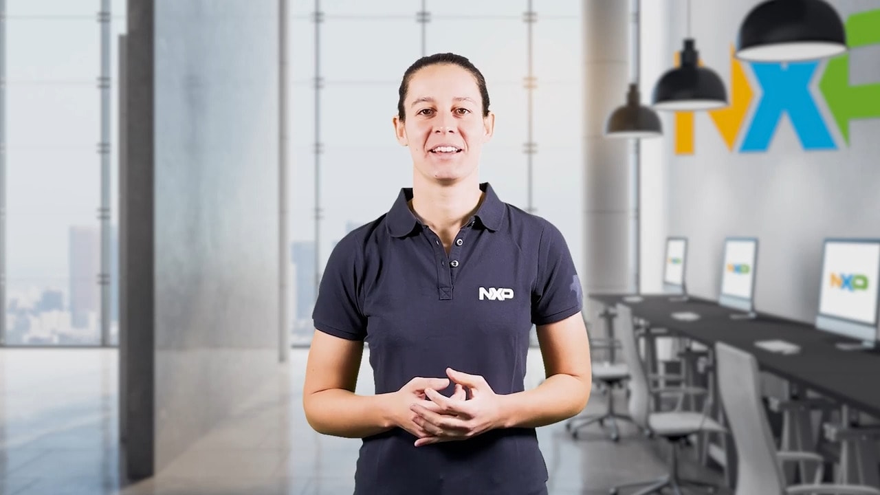 FS23 Safety Power Management with CAN and LIN System Basis Chip Family | NXP Semiconductors